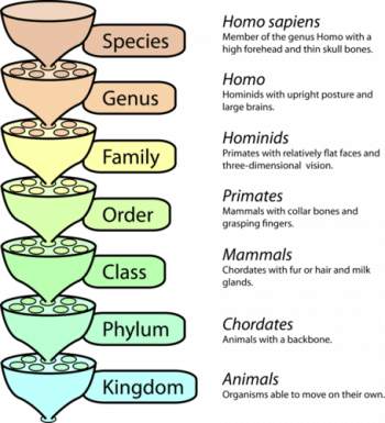 2.5 The Human Animal – Human Biology