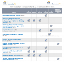 17.5 Adaptive Immune System – Human Biology