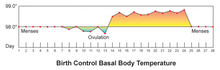 18.11 Contraception – Human Biology