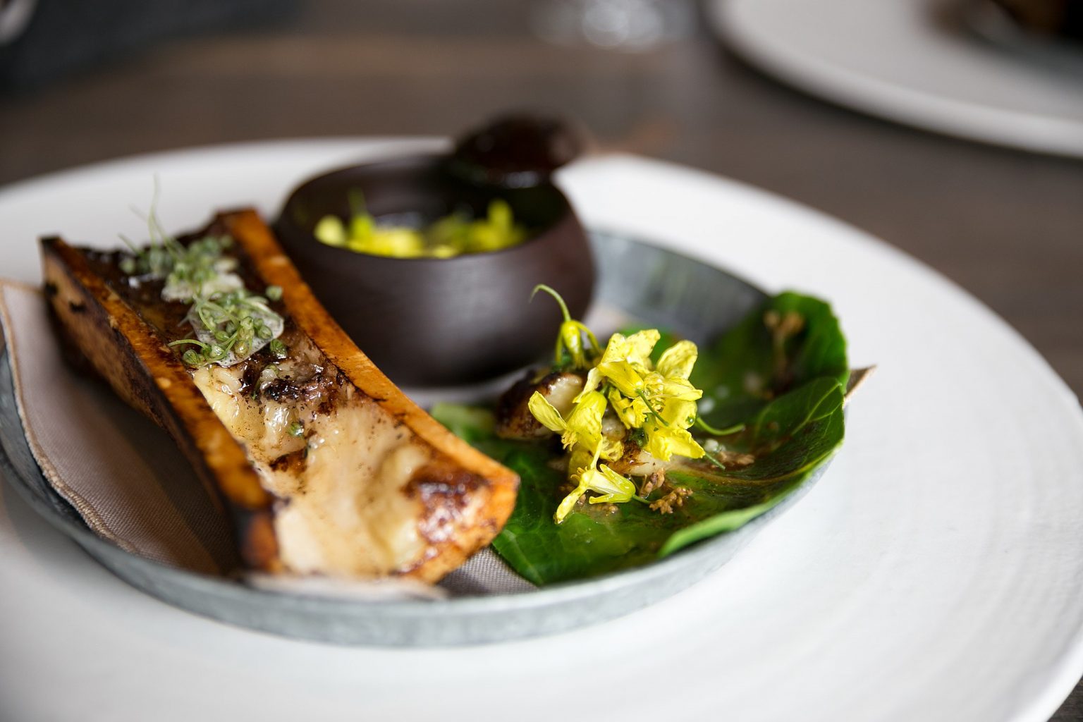 11.4 Structure of Bone – Human Biology