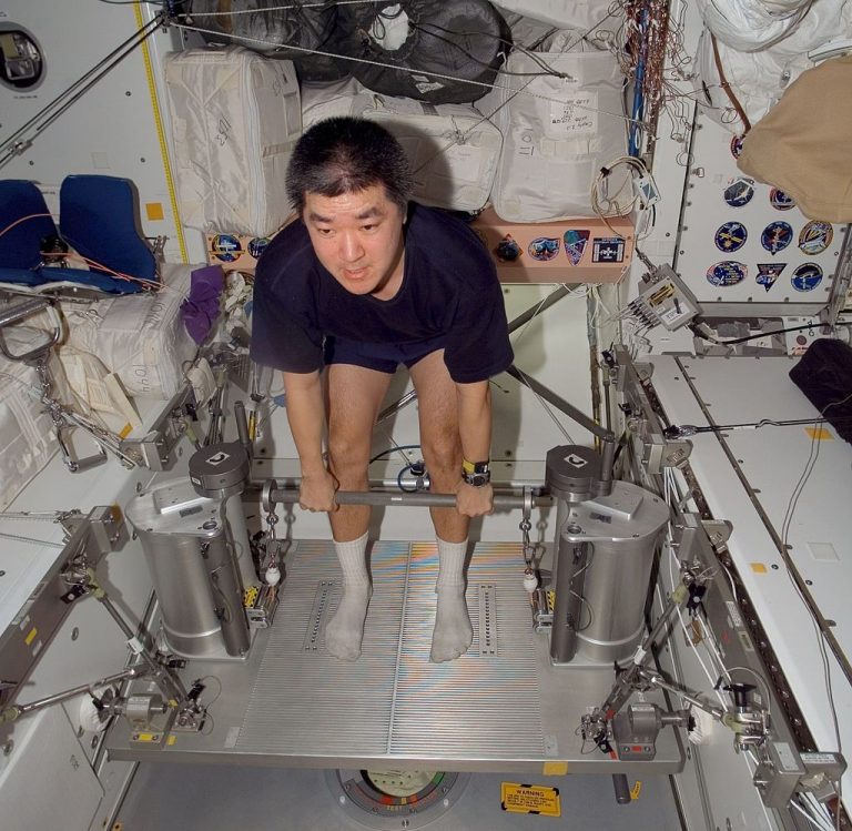 12.2 Introduction to the Muscular System – Human Biology