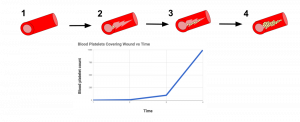 7.8 Homeostasis and Feedback – Human Biology