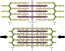 12.4 Muscle Contraction – Human Biology