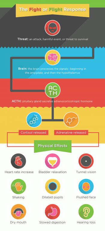 7.7 Interactions of Organ Systems – Human Biology