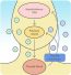 9.3 Endocrine Hormones – Human Biology